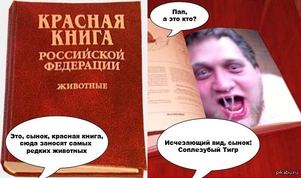 Баян, но доставляет | Пикабу