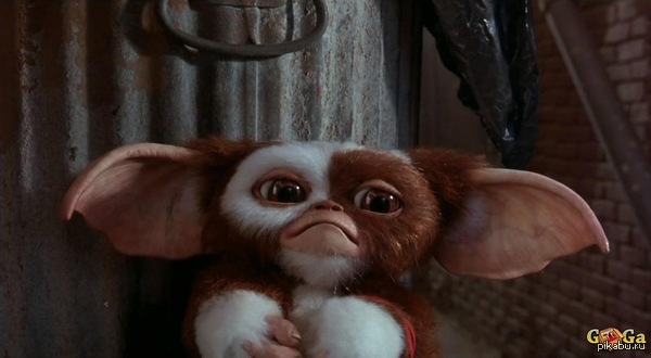 Watch full movie Gremlins in english with subtitles in FULLHD - truekfiles