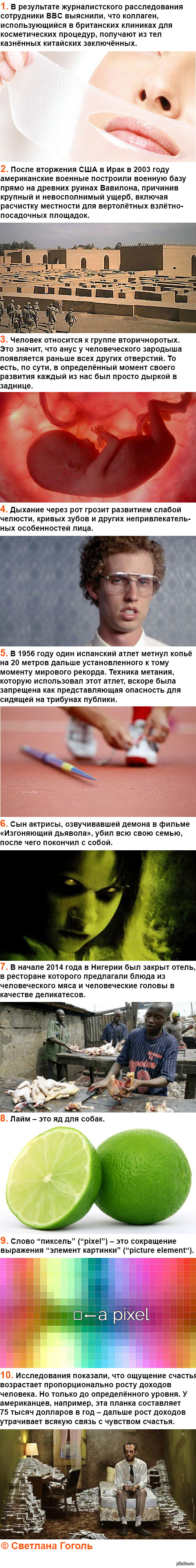 10 Интересных фактов Пикабу