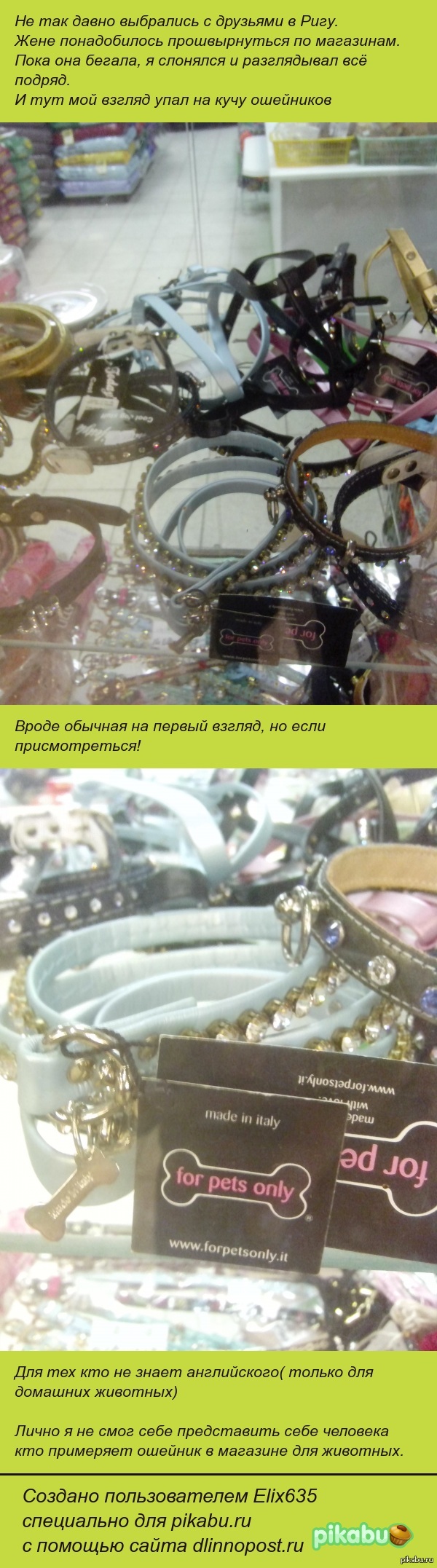 Ошейник | Пикабу