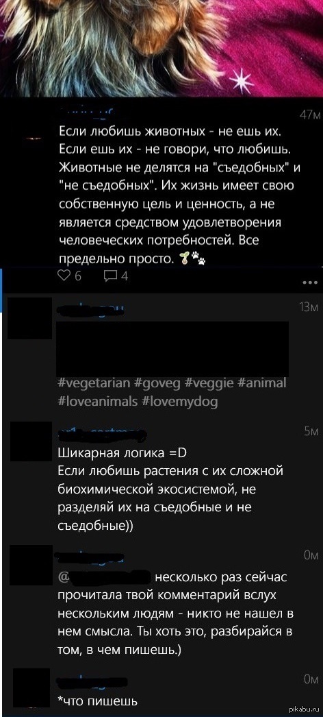 Логика | Пикабу