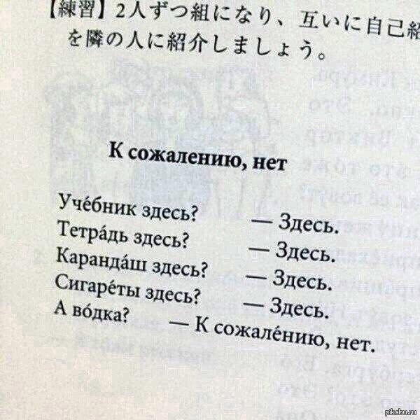 Японцы учат русский язык | Пикабу