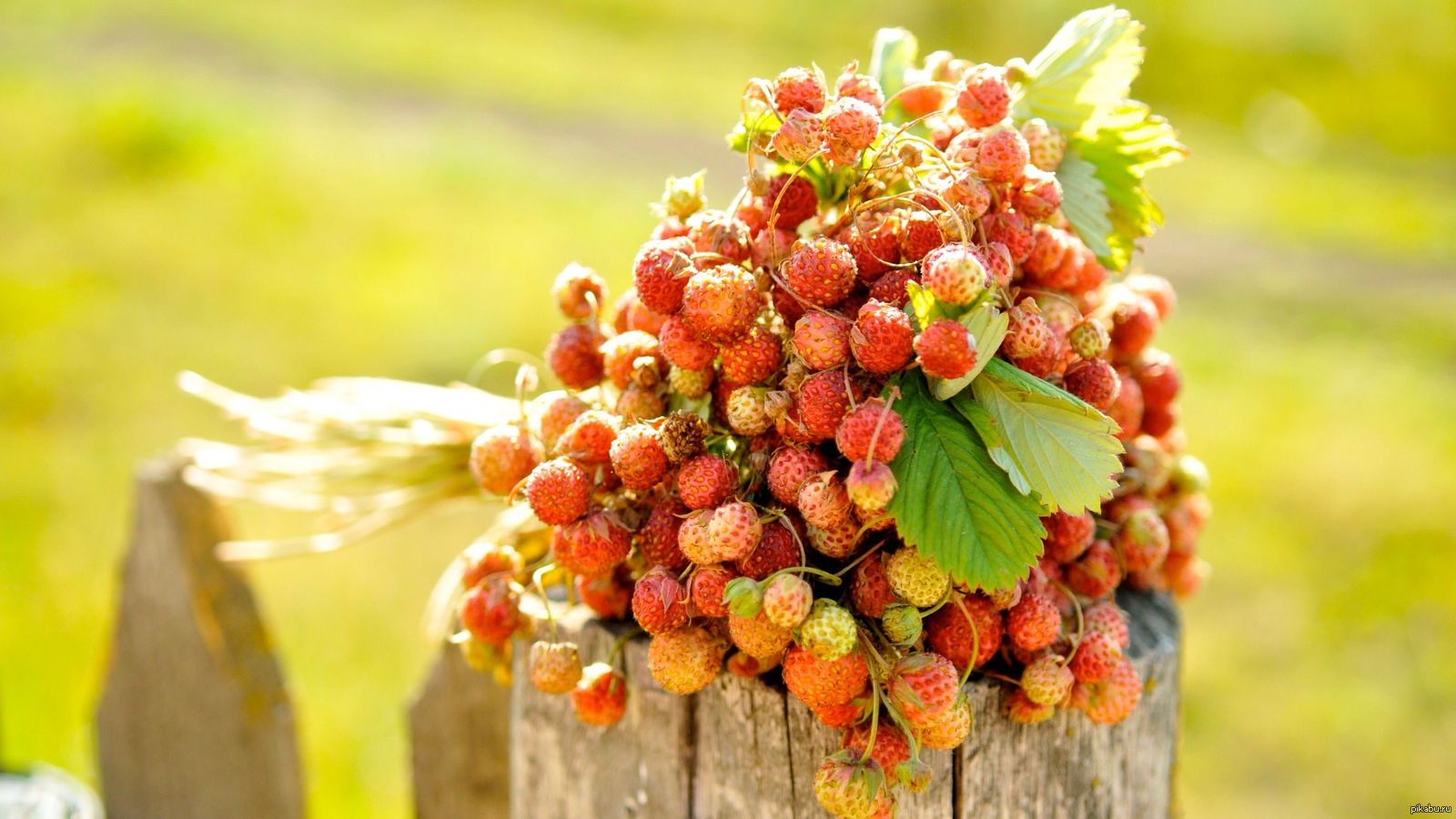 Клубничку решил не ставить) | Пикабу