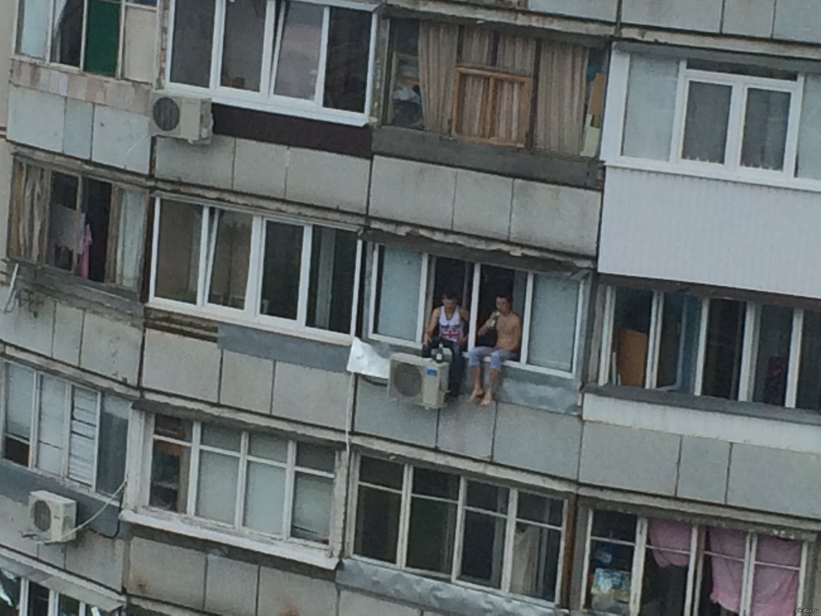 Выглянула в окно, а там.... | Пикабу