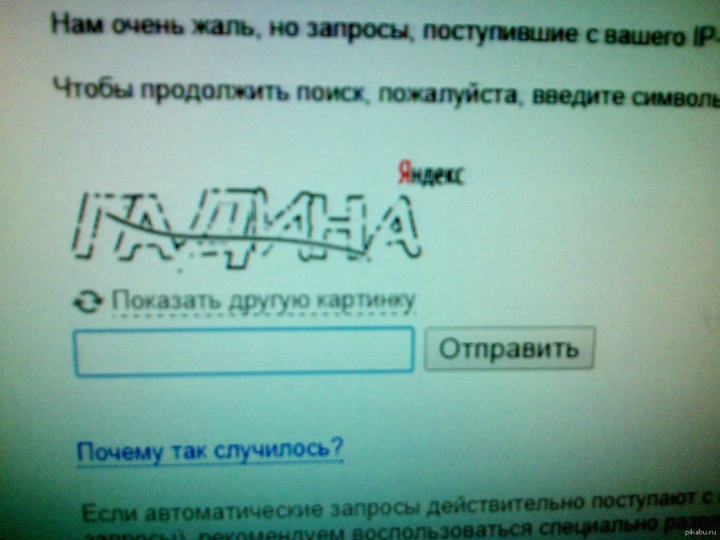 Злой яндекс | Пикабу