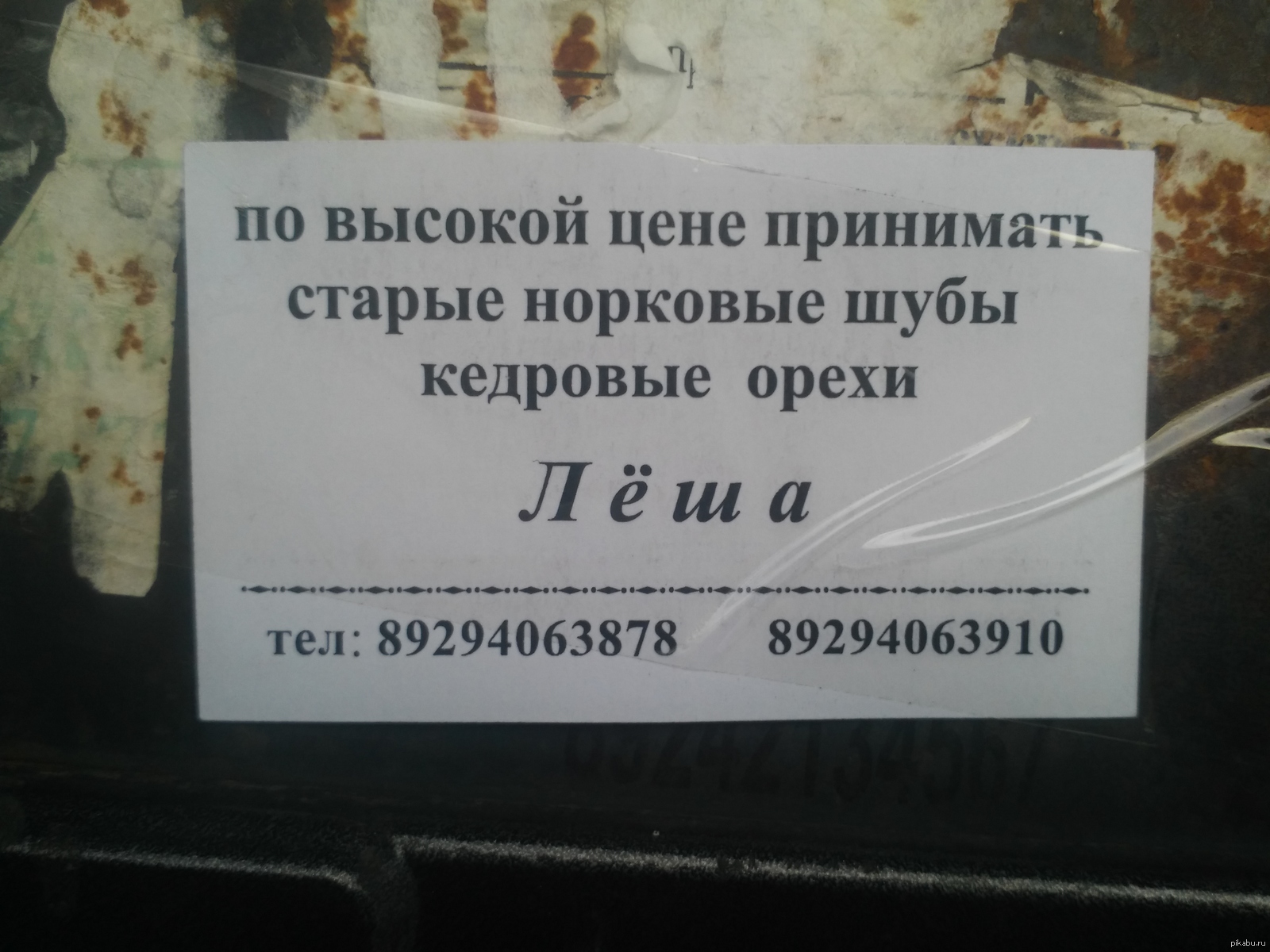 Веселое объявленьице на моём подъезде) | Пикабу