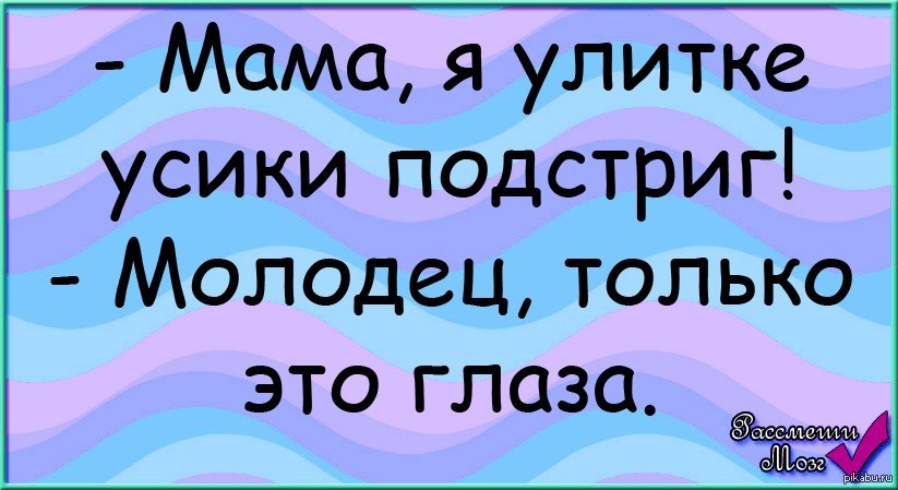 Улиткины усы | Пикабу