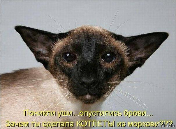 Таков характер | Пикабу