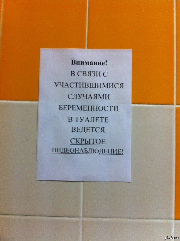 Проказники в туалете | Пикабу