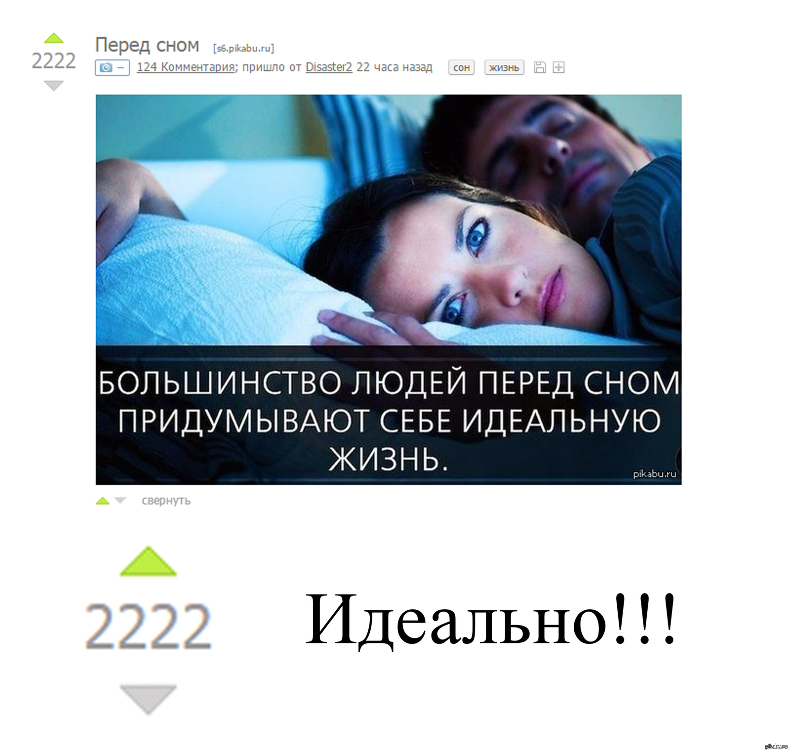 Жизнь удалась. | Пикабу