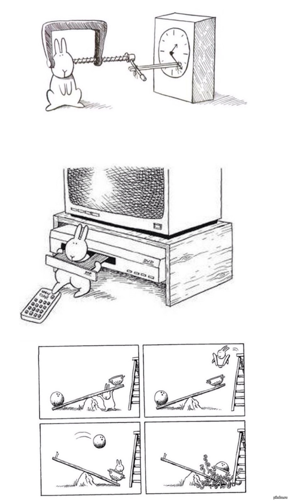 Заяц самоубийца | Пикабу