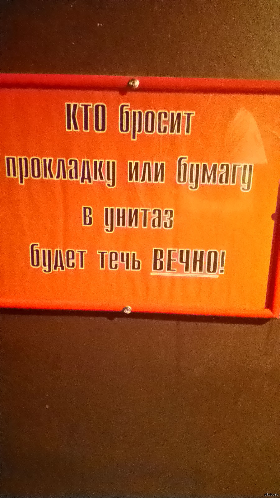 Из серии "Позабавило в баре" | Пикабу