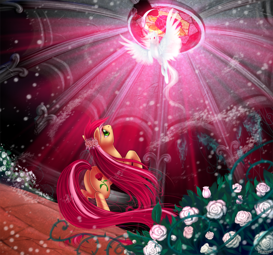 Roseluck | Пикабу