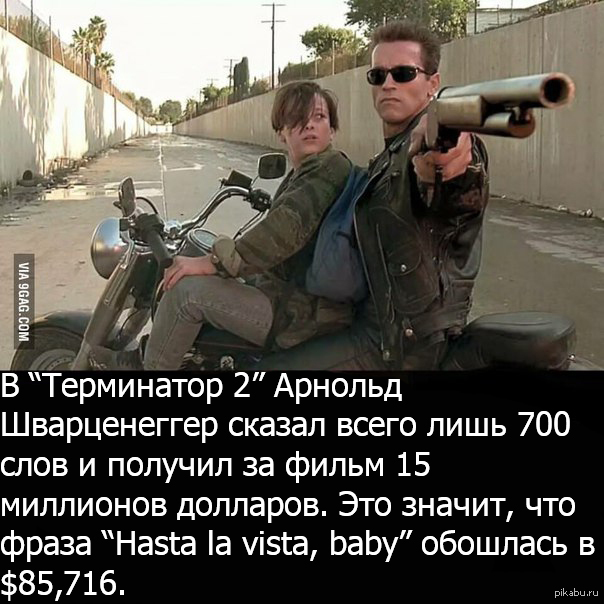 Терминатор | Пикабу
