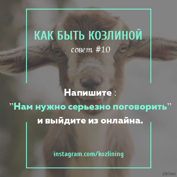 Вредные советы | Пикабу