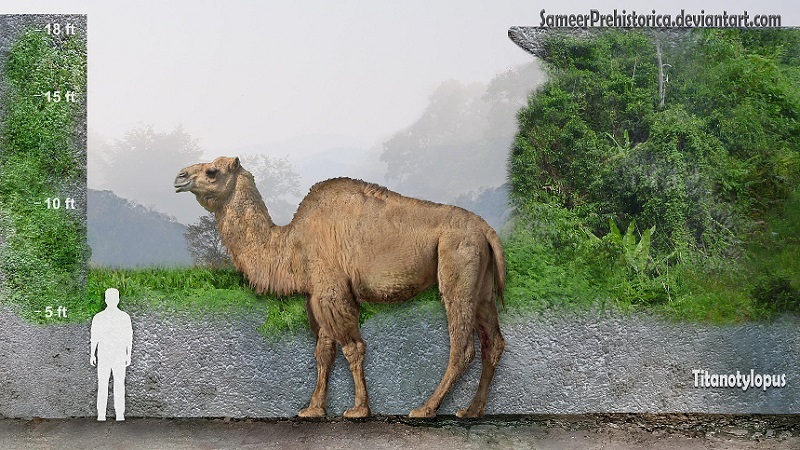 Titanotylopus | Пикабу