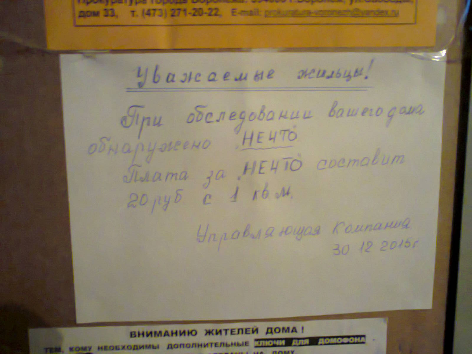 НЕЧТО | Пикабу