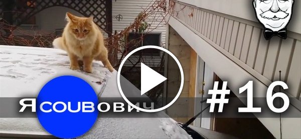 яCOUBович - лучшие coub #16 | Пикабу