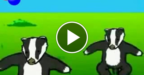 Badger song - 23.04.15 14:37 | Пикабу