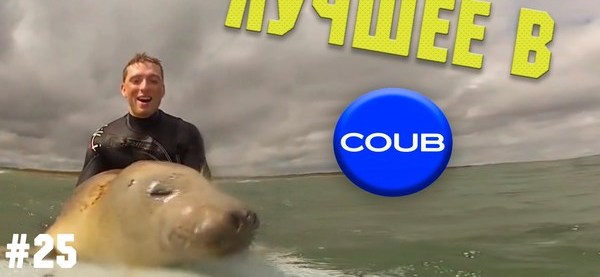Лучшее в Coub #25 | Пикабу